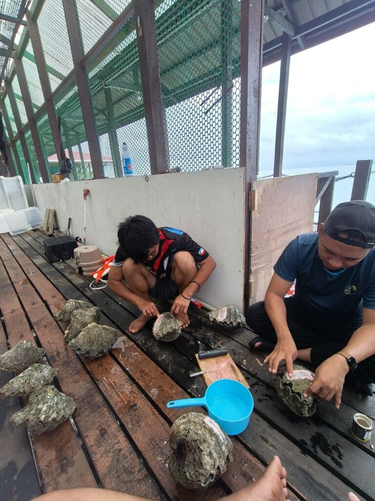 Giant Clam Tagging – Semporna Islands Project