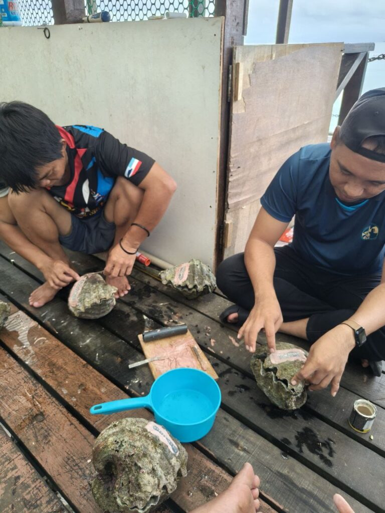 Giant Clam Tagging – Semporna Islands Project